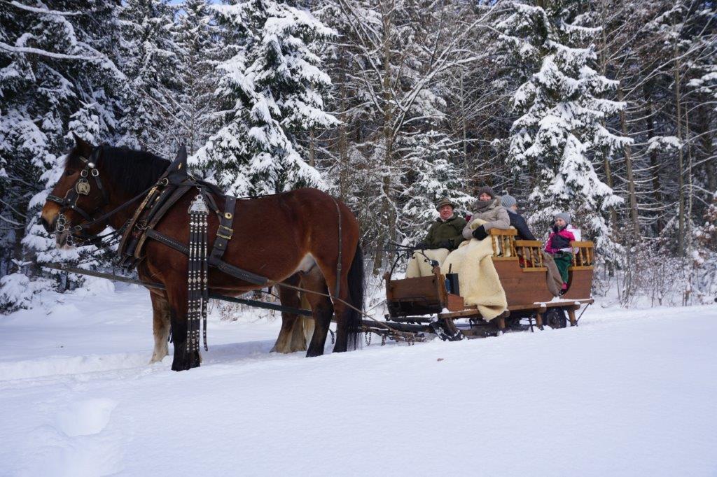 Kutschenfahrt durch den Bayerischen Wald, Eppenschlag - Eppenschlag - Wolfertschlag